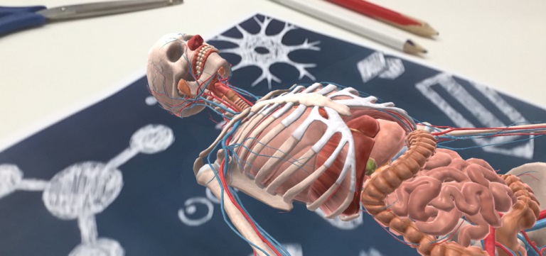 Augmented Reality And The Human Body – Big Immersive Blog